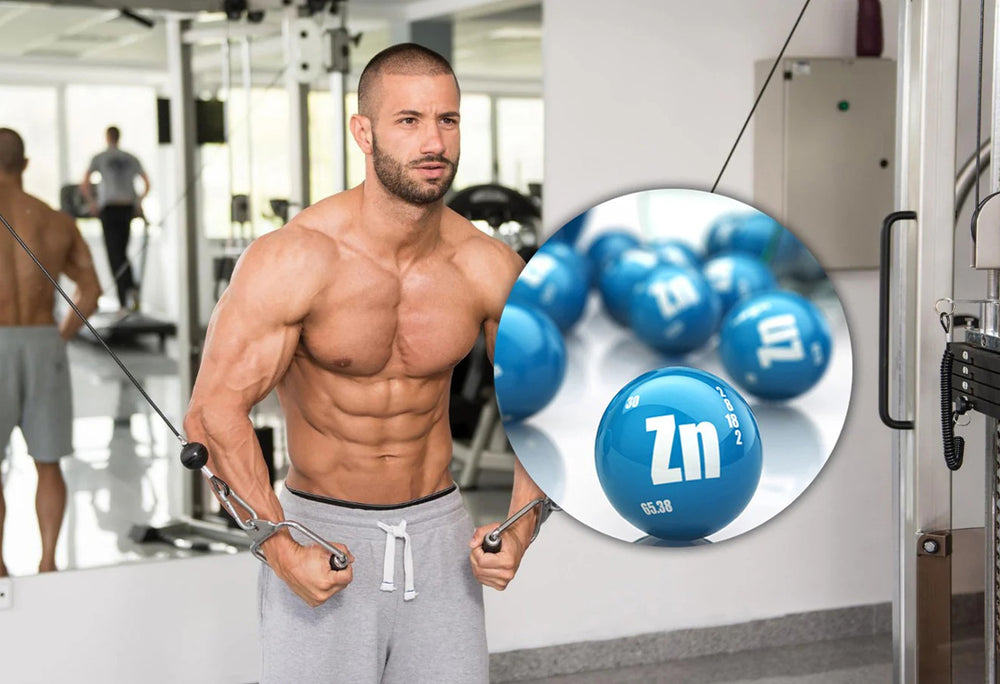 Zinc's Health Benefits and It's Importance for Testosterone Production ...
